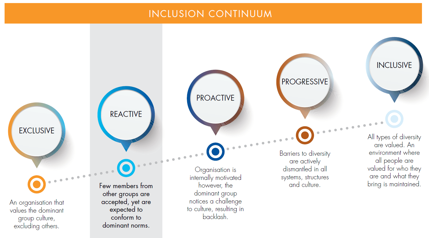 Access and Inclusion Action Plan: Where we want to be and how we are getting there